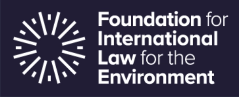 FILE Foundation | Climatebase